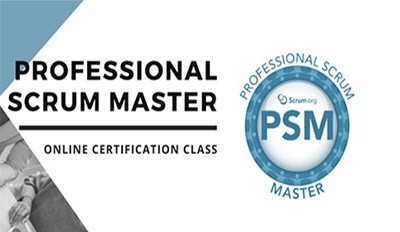 Online Complete Professional Scrum Master (PSM) Training Course